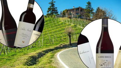 Bästa Barbaresco på Systembolaget 2025 - topplista